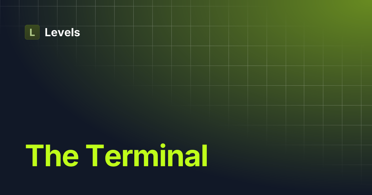 The Terminal | Levels